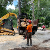 Local Tree Company | Durham, NC | Da'Joneses Tree Removal Service, LLC